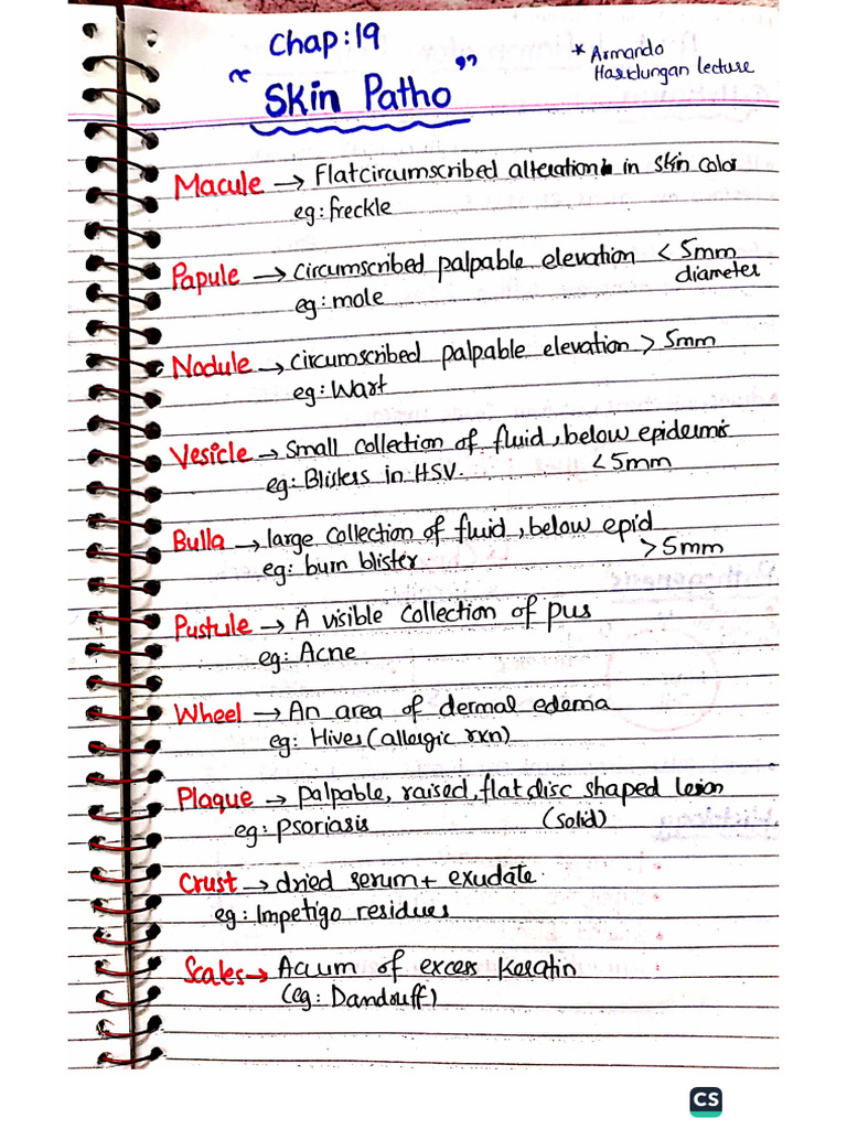 Skin Patho (Huma Khattak TMM) | PDF