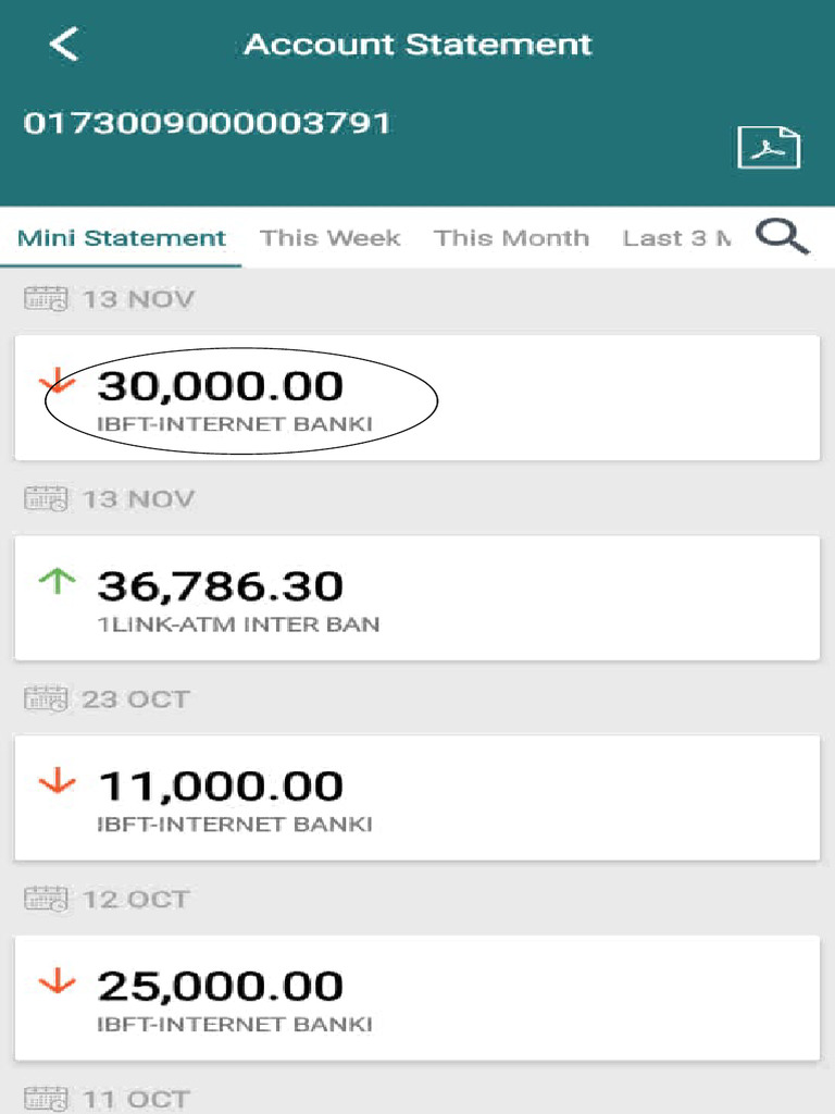Mini Bank Statement | PDF