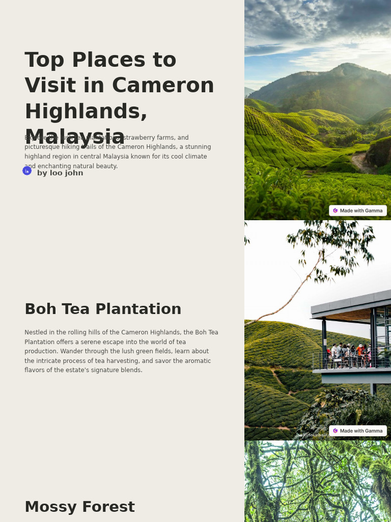 Top Attractions in Cameron Highlands | PDF