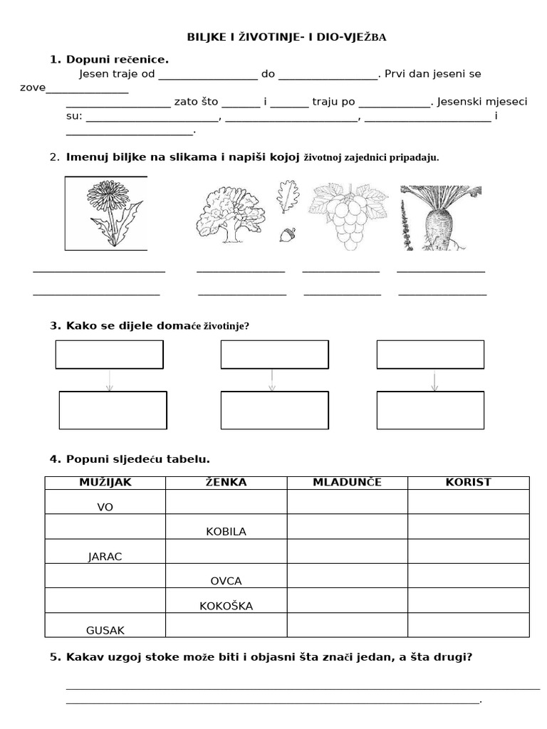 Biljke I Zivotinje-Sistematizacija | PDF