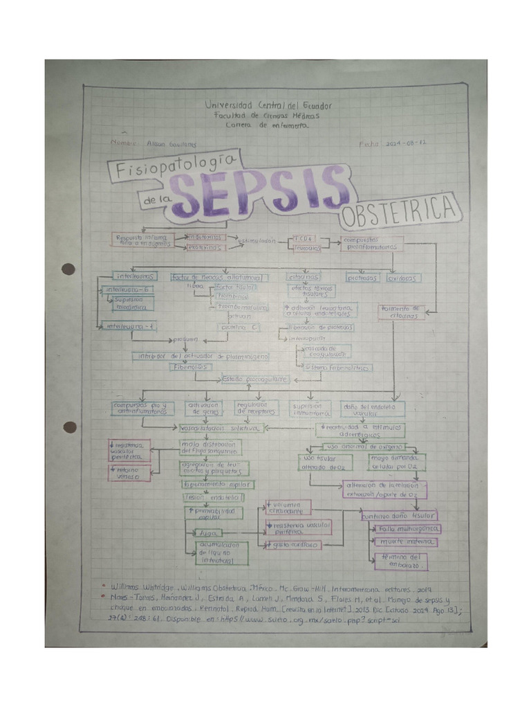 Sepsis Obstétrica - Alison Gavilanes | PDF