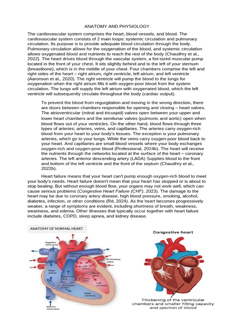 ANAPHYSIO | PDF | Heart | Heart Valve