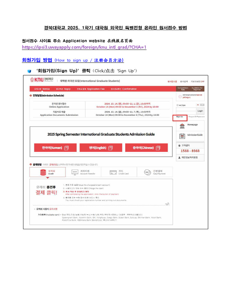 KNU Online Application Guide | PDF