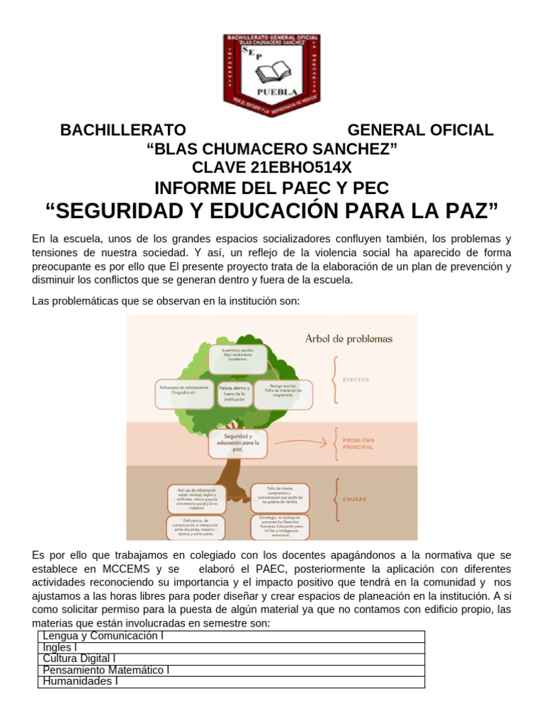 Informe Pec 2024 | PDF | Escuelas | Institución