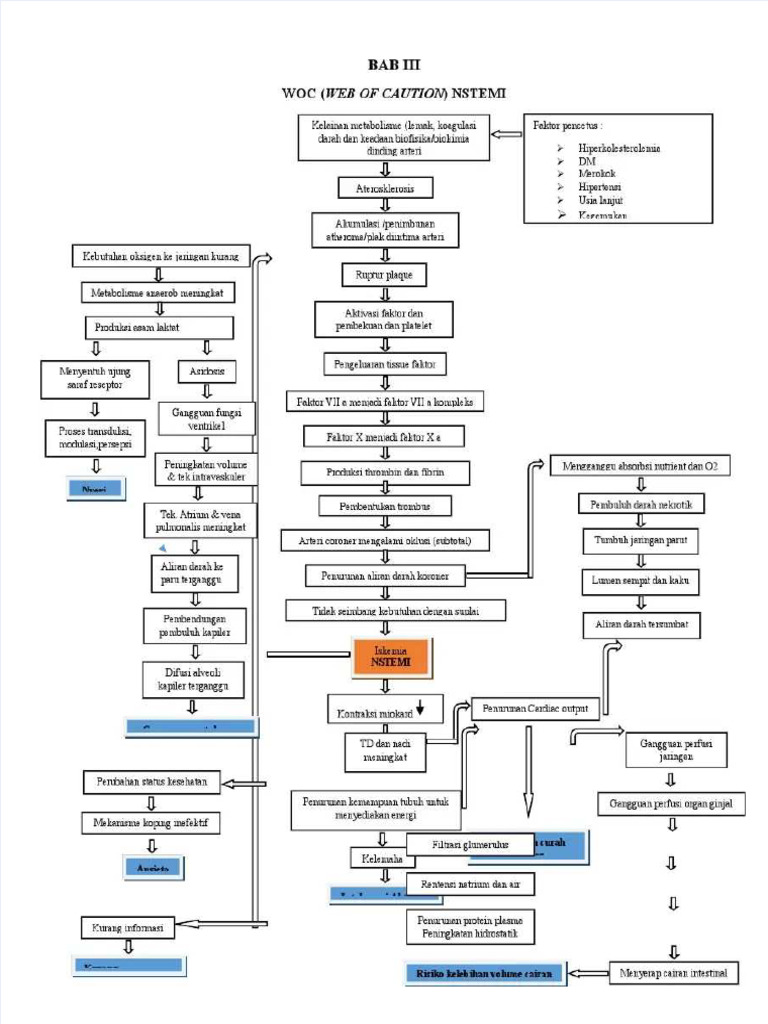 PDF Woc Nstemi Fix - Compress | PDF