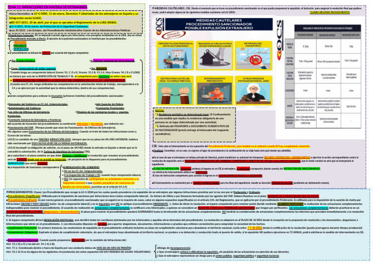 ESQUEMA TEMA 11 Extranjería | PDF | Mandato | Gobierno