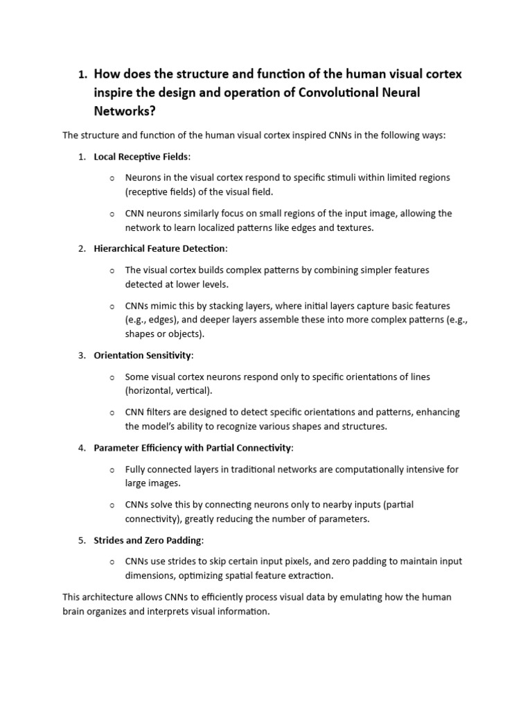 CNN Test Answers | PDF | Cognitive Science | Neuroscience