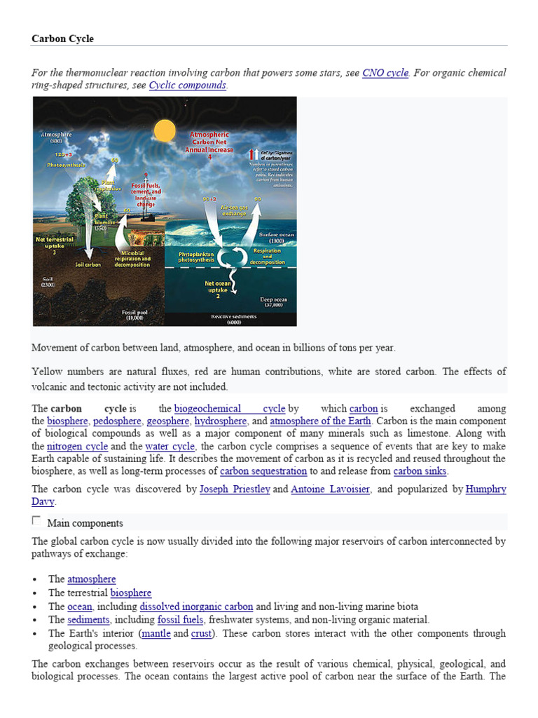 Biogeochemical Cycles | PDF | Carbon Cycle | Nature