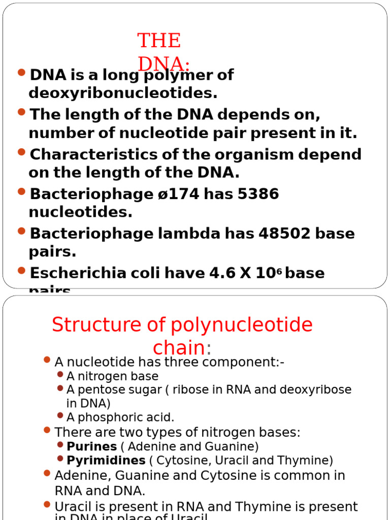 Molecular - Basis - of - Inheritance 24 | PDF | Operon | Rna