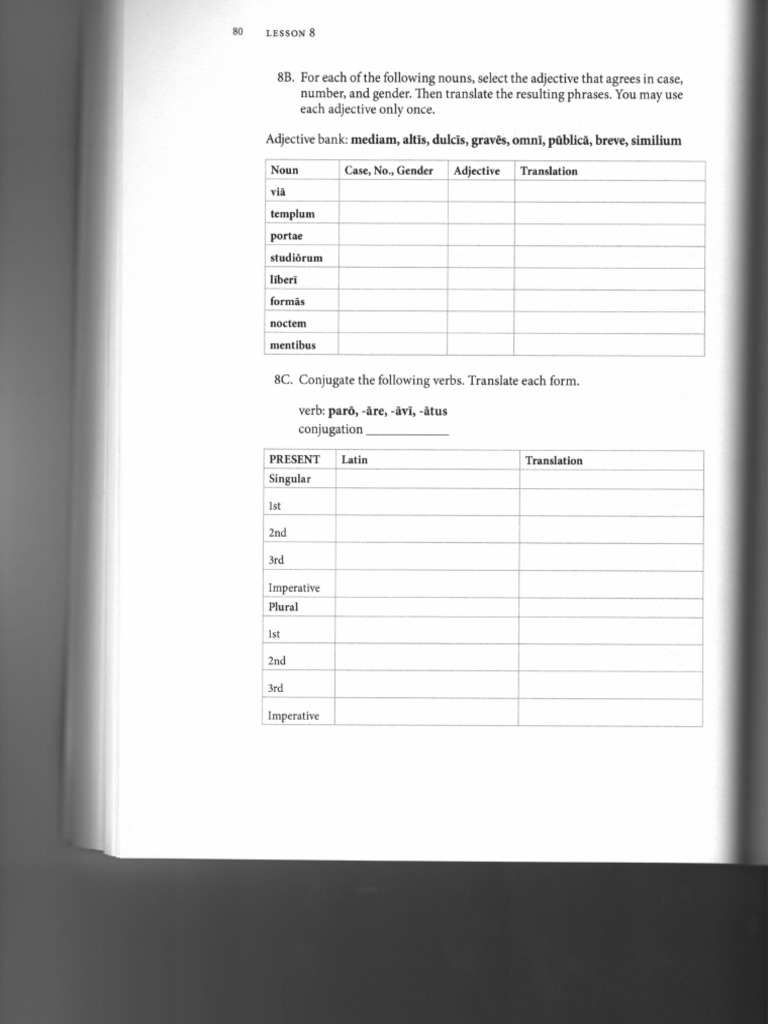 Lesson 8+9 Latin | PDF