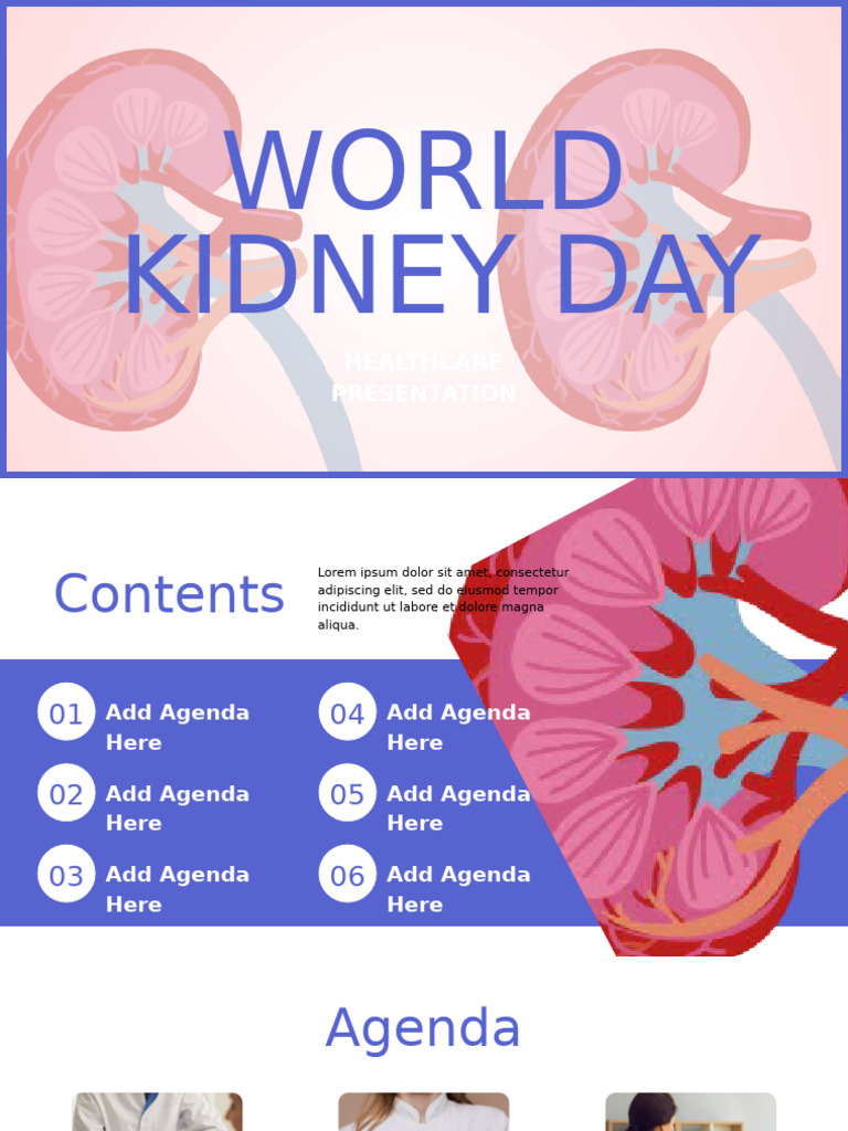 World Kidney Day Presentation 2024 | PDF