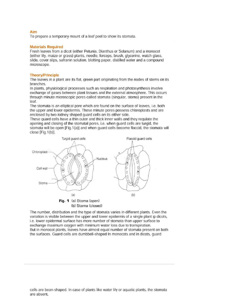 Practical X Bio | PDF