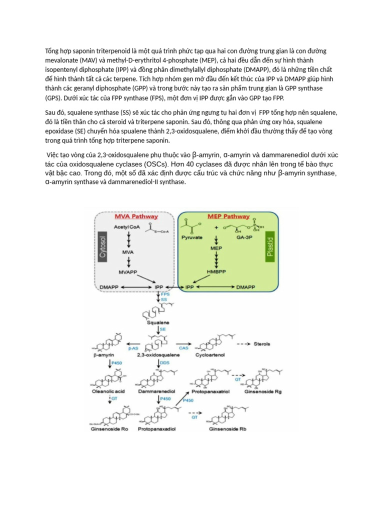 Quy Trình T NG H P | PDF