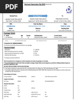 Fake Realistic IRCTC Ticket | PDF