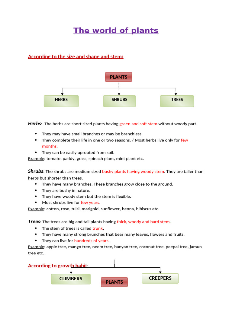 The World of Plants Study Material | PDF | Plants | Foods
