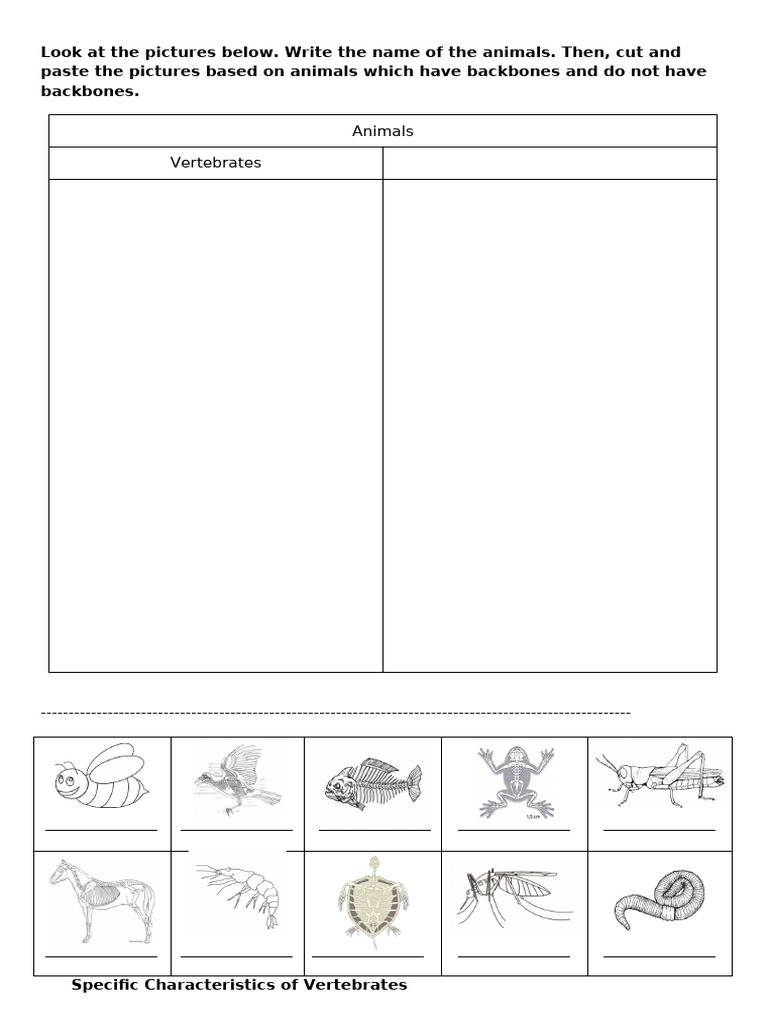 Vertebrates Worksheet | PDF