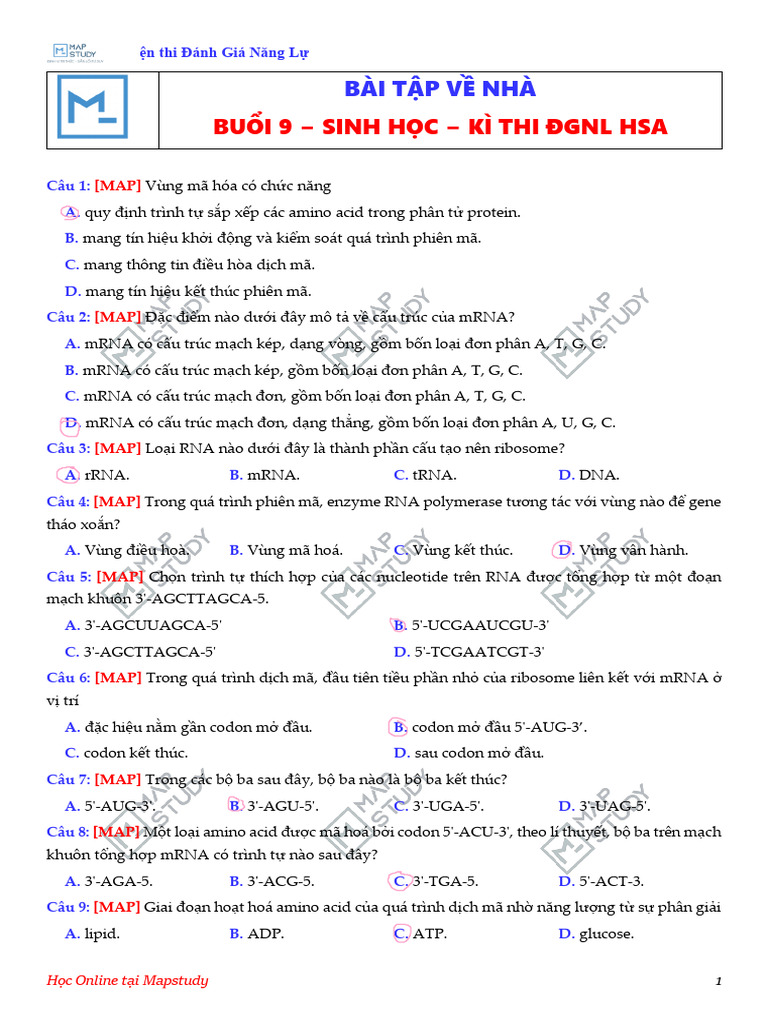 Tai Lieu - Buoi 9 Bai Tap Ve Nha 1731295386811 | PDF