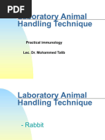 Procedure Rabbit Blood Collection | PDF | Intravenous Therapy | Blood