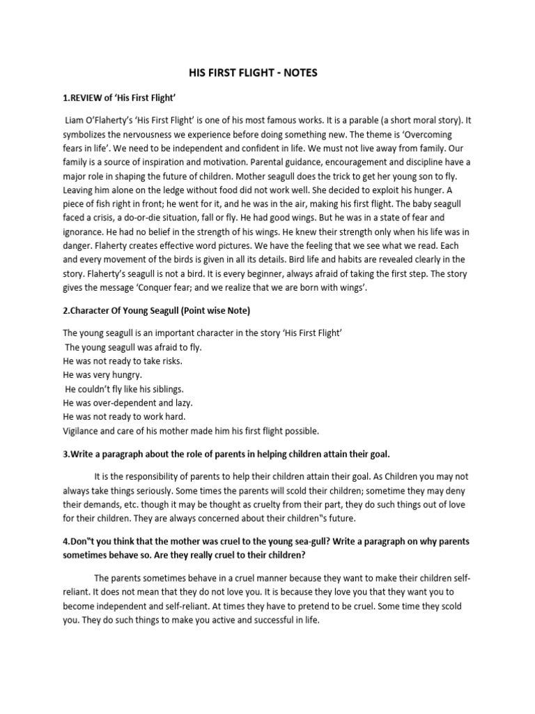 His First Flight | PDF