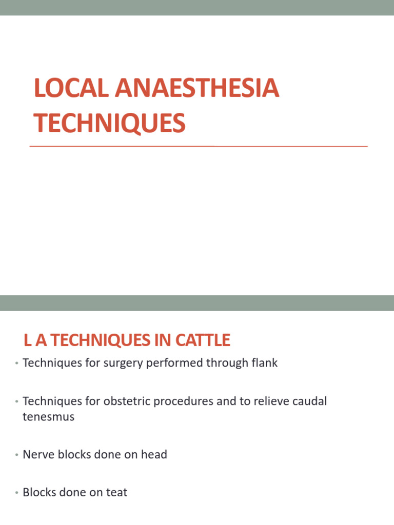 Nerve Blocks | PDF | Anesthesia | Human Anatomy