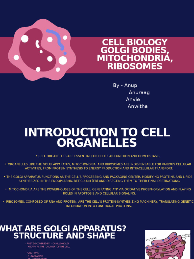 Cell Biology | PDF | Mitochondrion | Ribosome
