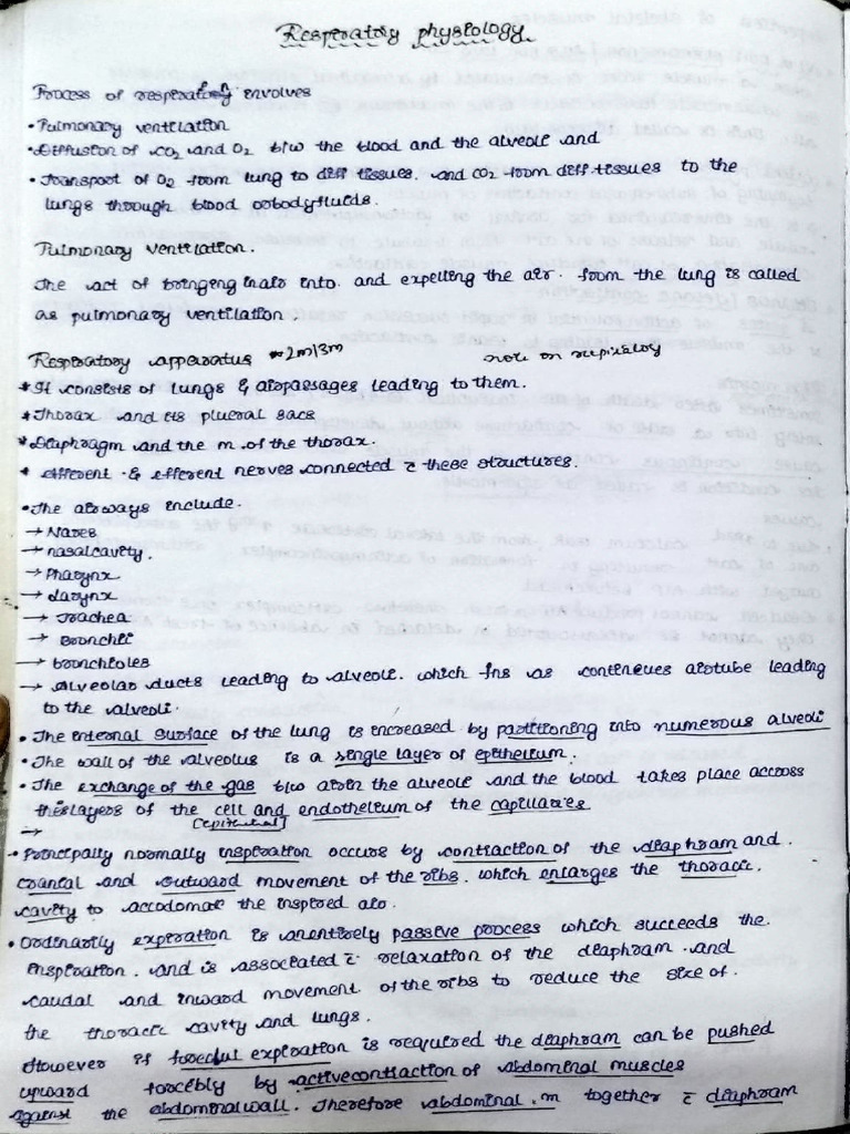 Respiratory Physiology Pdf
