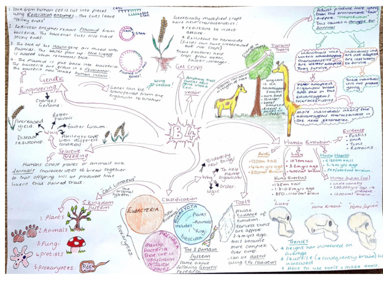 B4 Concept Map | PDF
