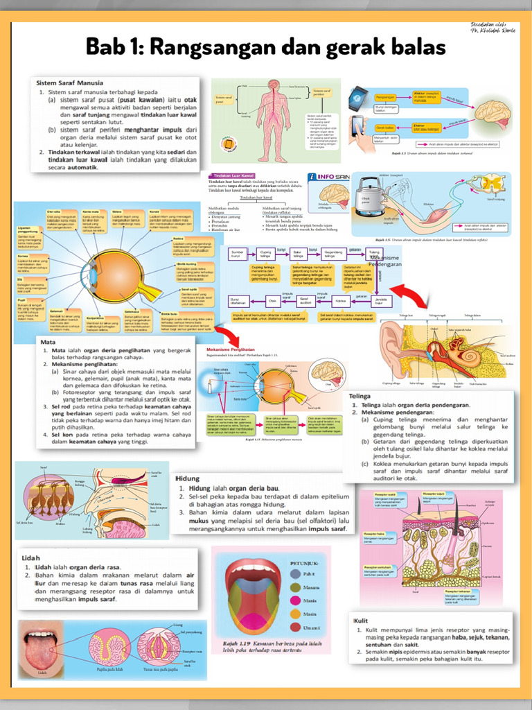 Nota Sains Tingkatan 3 | PDF