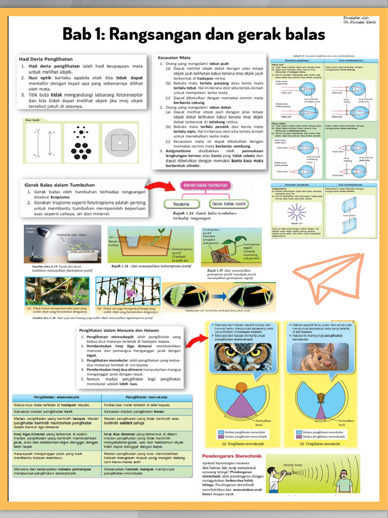Nota Sains Tingkatan 3 | PDF