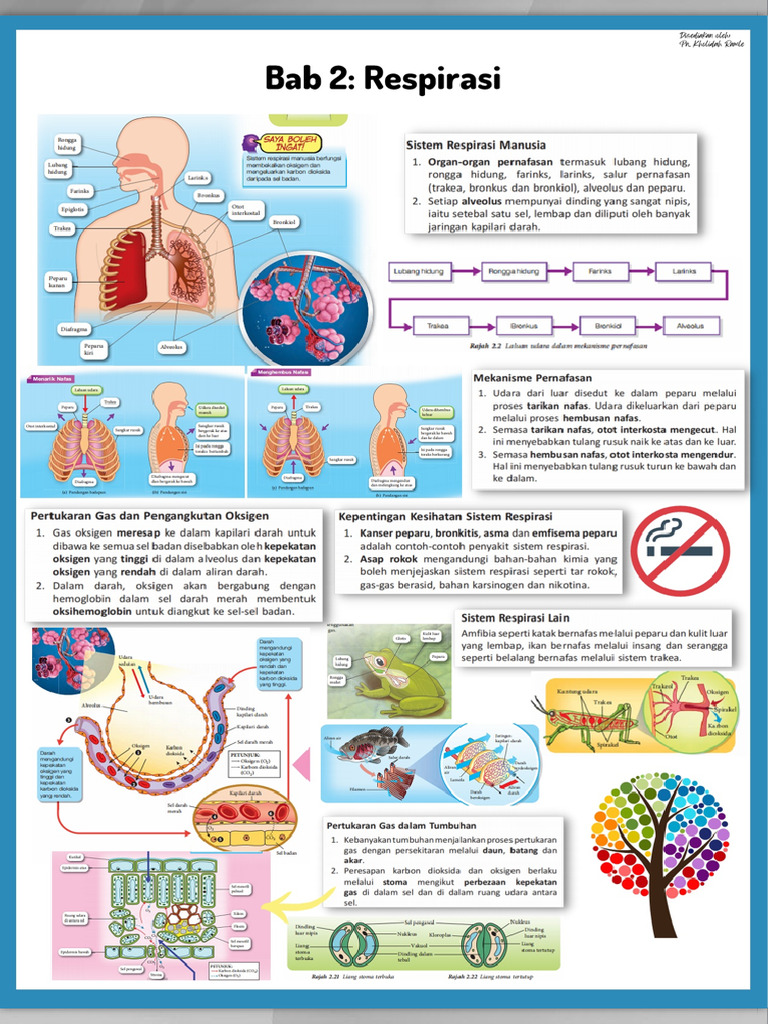 Nota Sains Tingkatan 3 Pdf