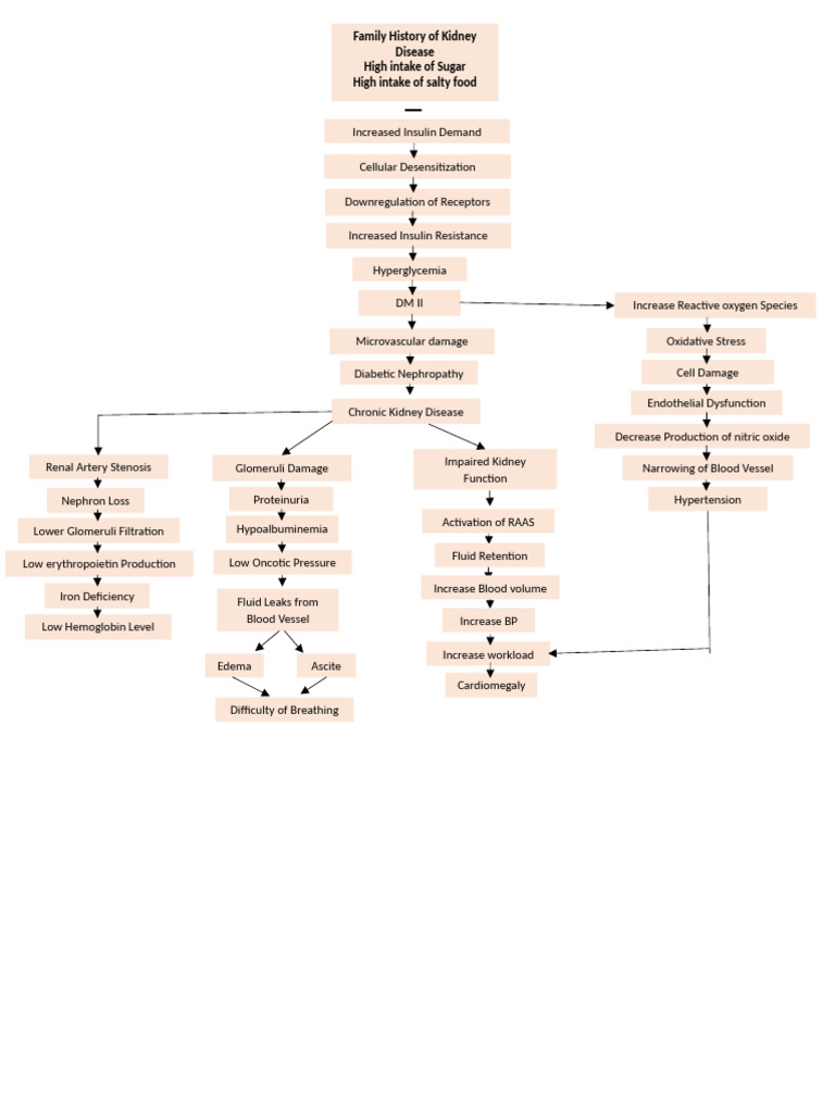PATHOPHY 3.0 | PDF | Causes Of Death | Kidney