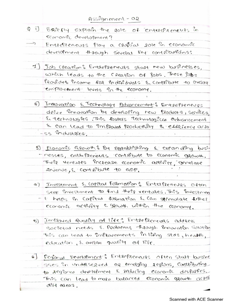 ACE Scanner - 2024 - 11 - 14 | PDF