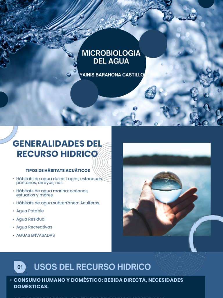 Microbiologia Del Agua Iis-2024 | PDF | Agua | Ciencia medioambiental