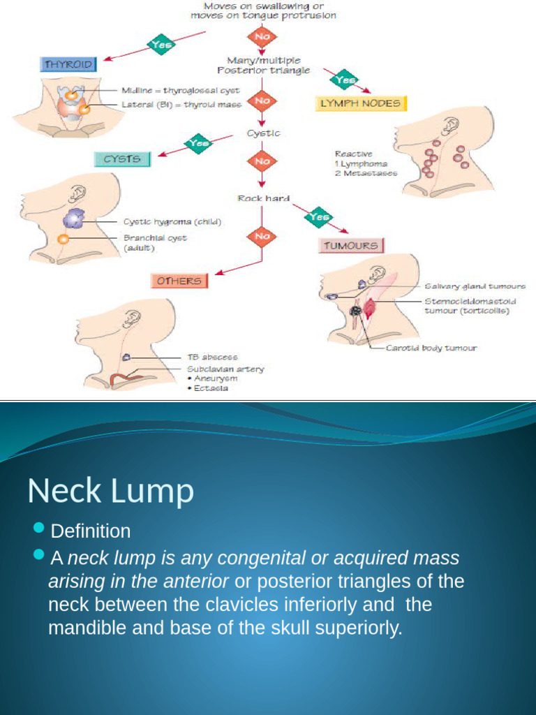 Neck Lump Differential Diagnosis Guide | PDF | Neck | Medical Specialties