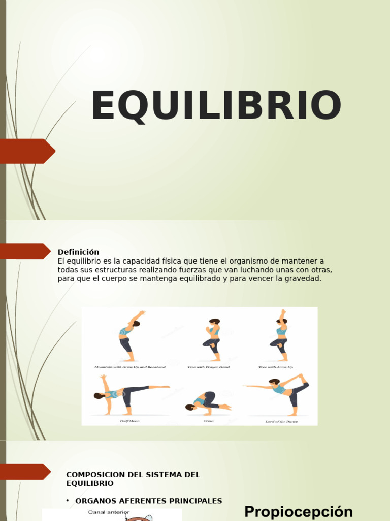 EQUILIBRIO Fisiologia | PDF | Relaciones personales, crianza y ...