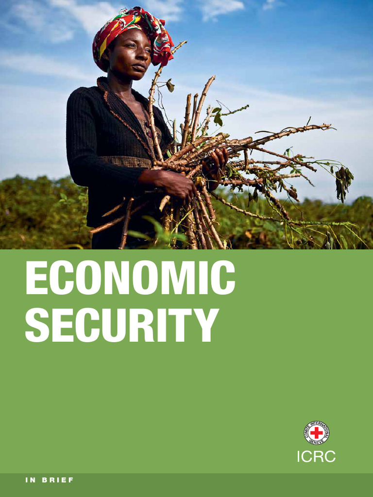 Economic Security Delegate | PDF | International Committee Of The Red ...