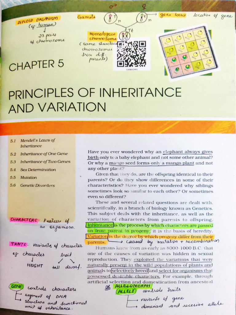 Principles of Inheritance and Variation | PDF