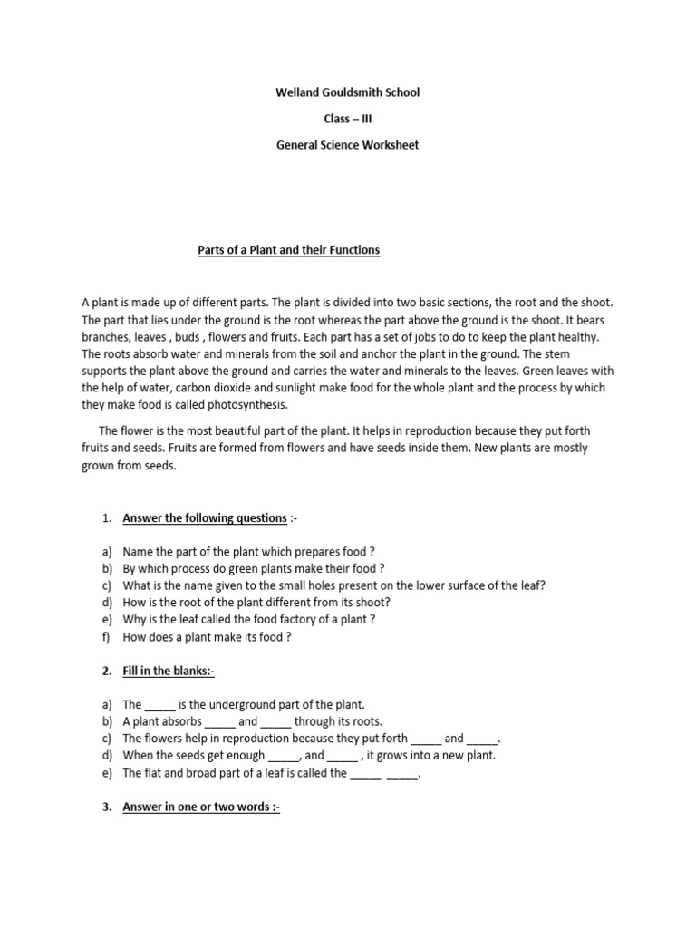 General Science Worksheet 2 | PDF | Home & Garden | Science & Mathematics