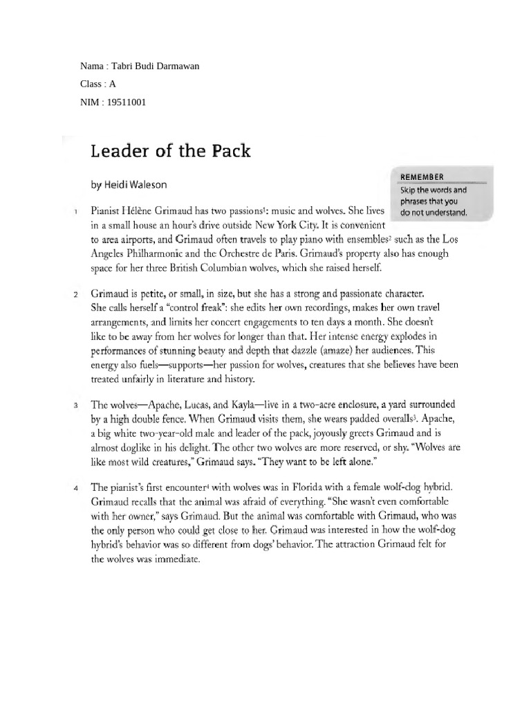 Leader of The Pack | PDF | Art