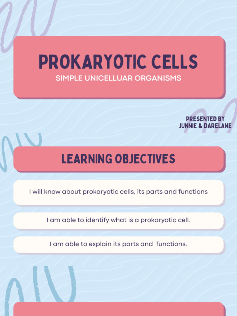 Prokaryotic Cells (Final) | PDF | Cell (Biology) | Prokaryote