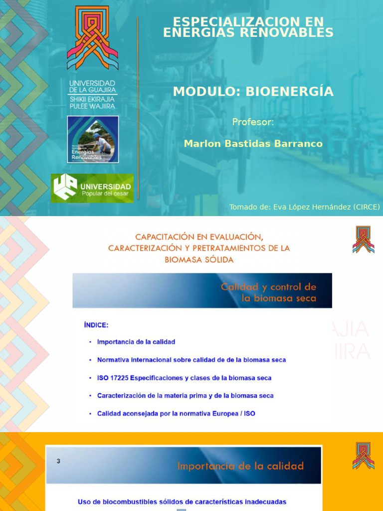 Especialización Biomasa 1 | PDF