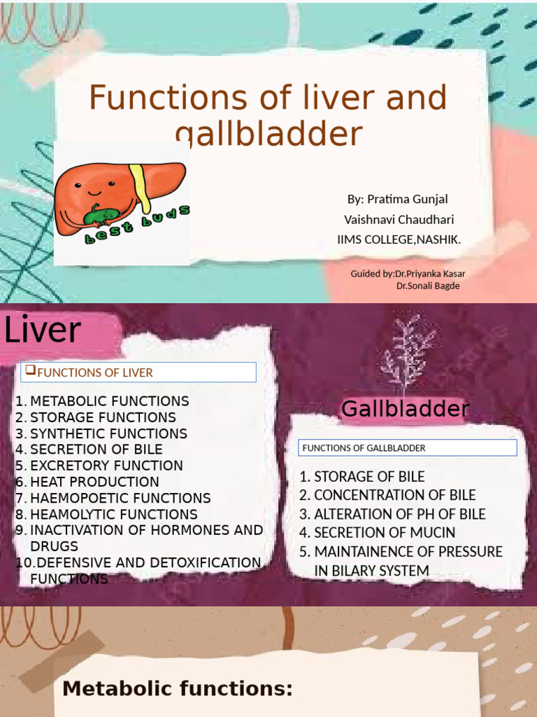 Functions of Liver and Gallbladder | PDF | Bile | Liver