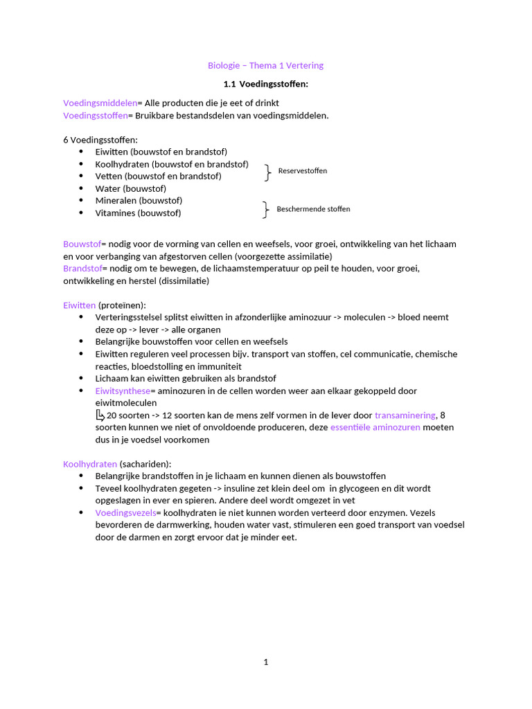 Biologie Vertering en Transport 6V | PDF
