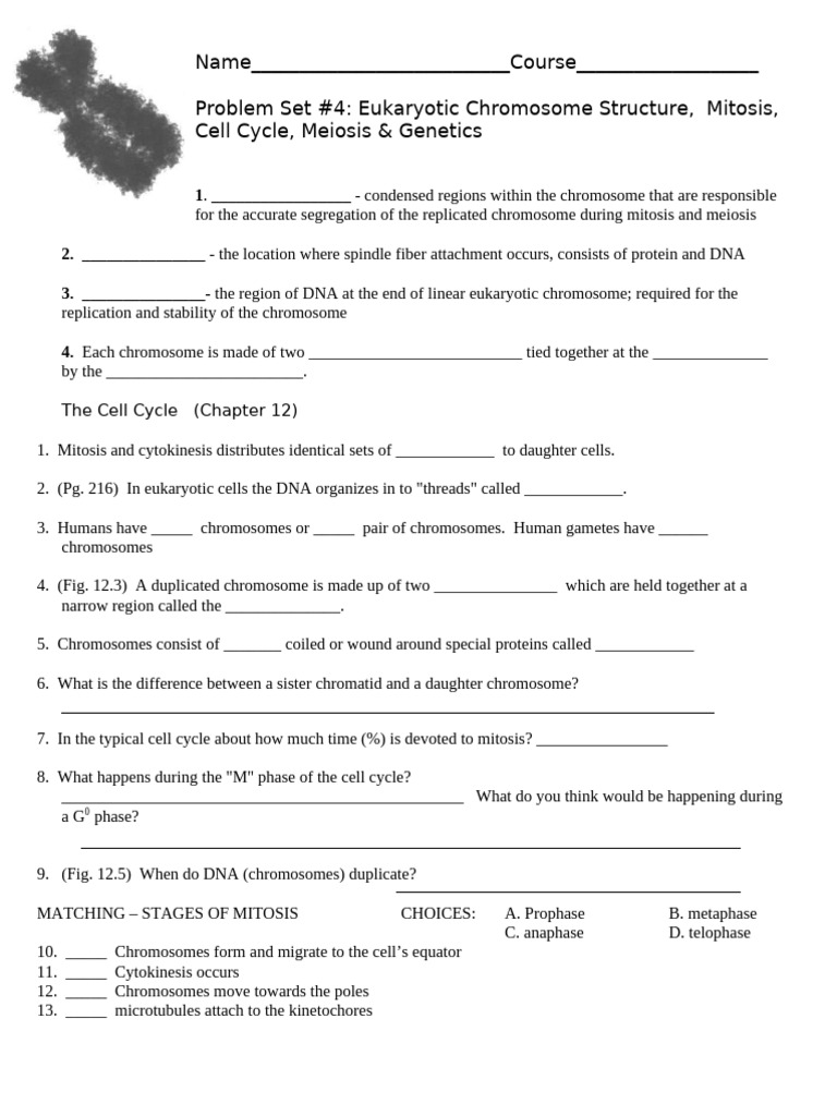 Biology Problem Set: Cell Division | PDF