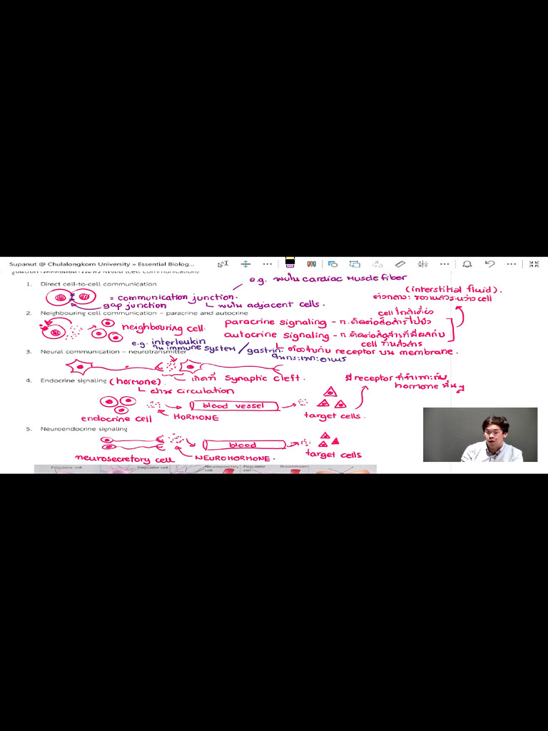 ภาพถ่ายหน้าจอ 2567-11-10 เวลา 18.14.50 | PDF