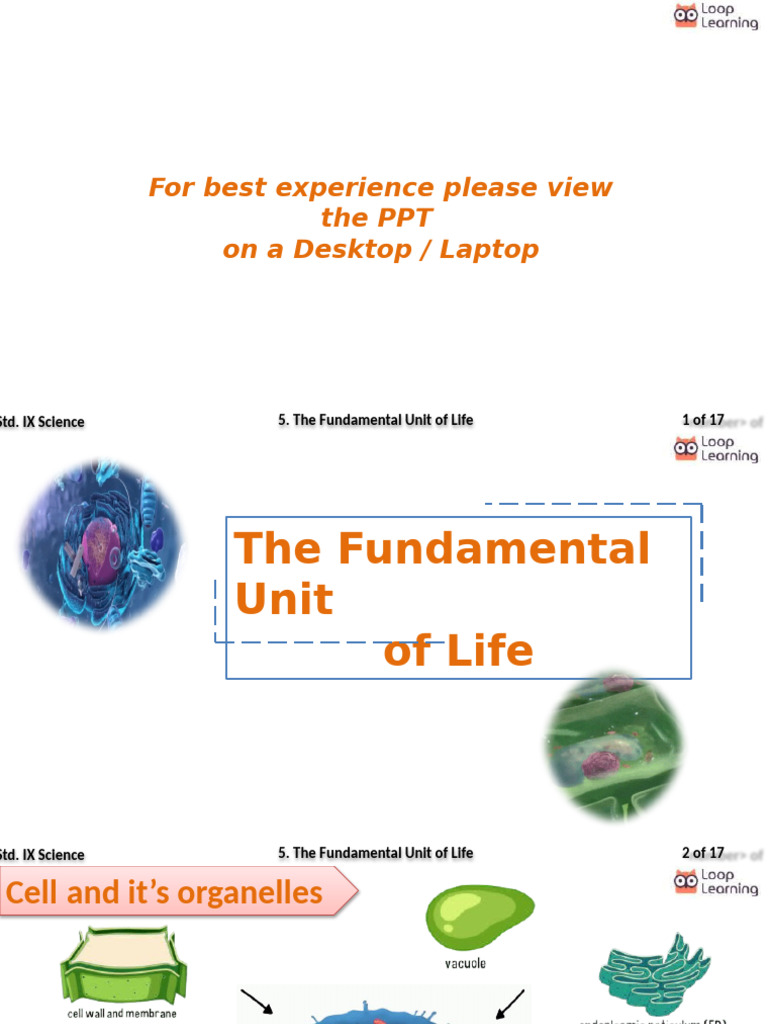 Fundamental Unit of Life: Cell Organelles | PDF | Endoplasmic Reticulum ...
