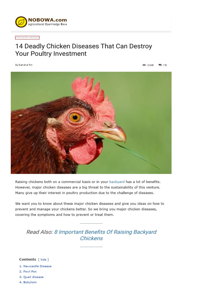 14 Deadly Chicken Diseases That Can Destroy Your Poultry Investment ...