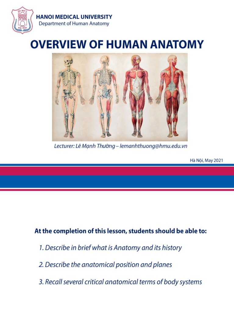 LEC 10 - Introduction To Human Anatomy | PDF