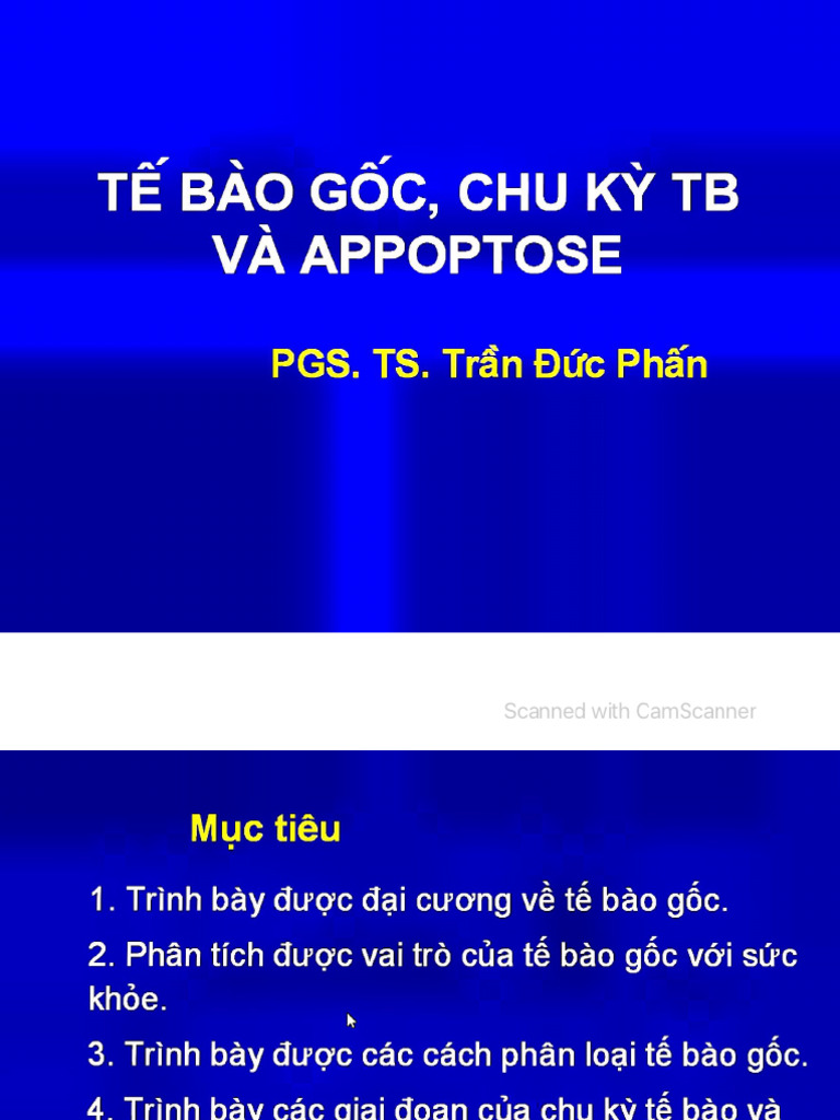 LEC 17 - Đại Cương Tế Bào Gốc, Chu Kỳ Tế Bào Và Chết Tế Bào Theo Chương Trình | PDF
