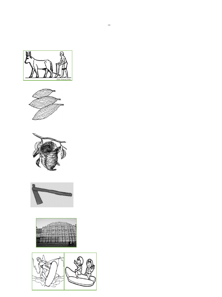 Evs 4 | PDF | Vegetables | Onion